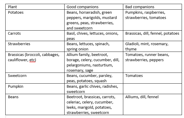 Vegetable Plant Families Chart Arkansas Spring Vegetable Garden Guide